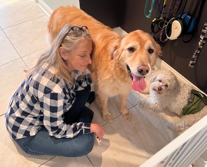 Contact - 4 The Love Of Paws